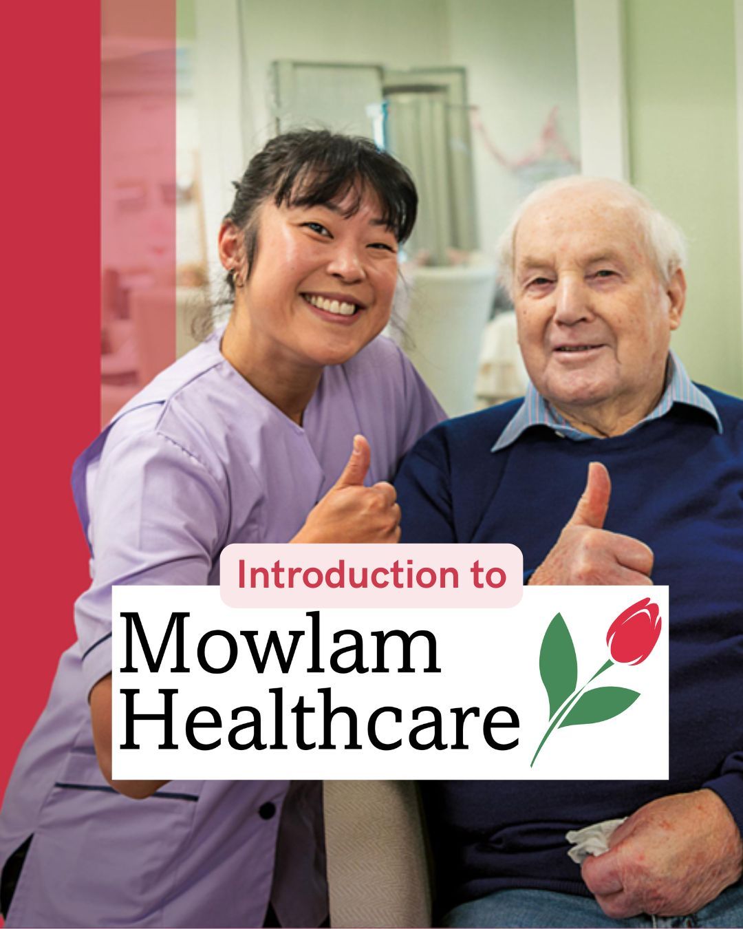 Mowlam Healthcare Introduction