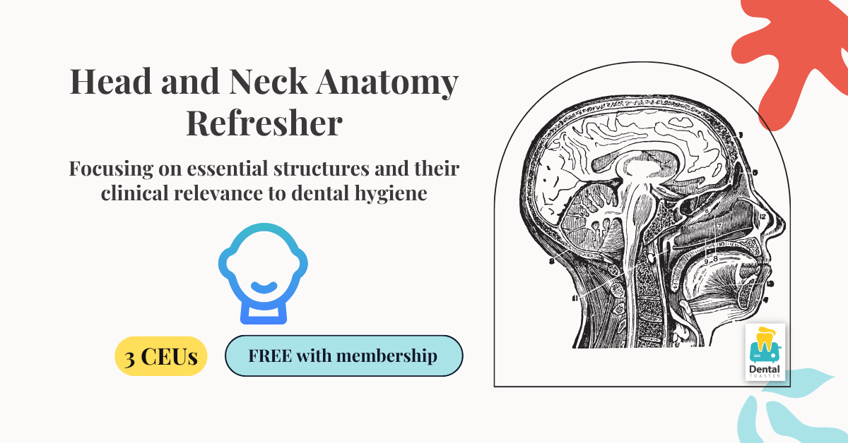 Head and Neck Anatomy Refresher Course