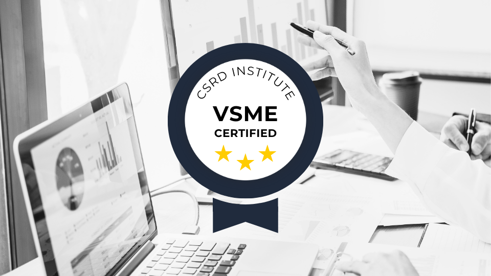 Reporting with the VSME Standard
