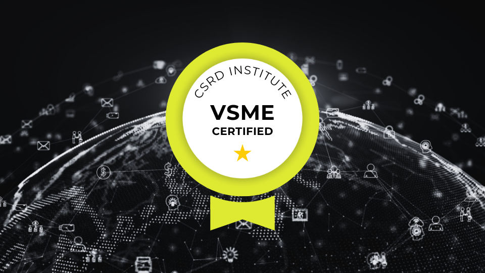 Introduction to the VSME Standard