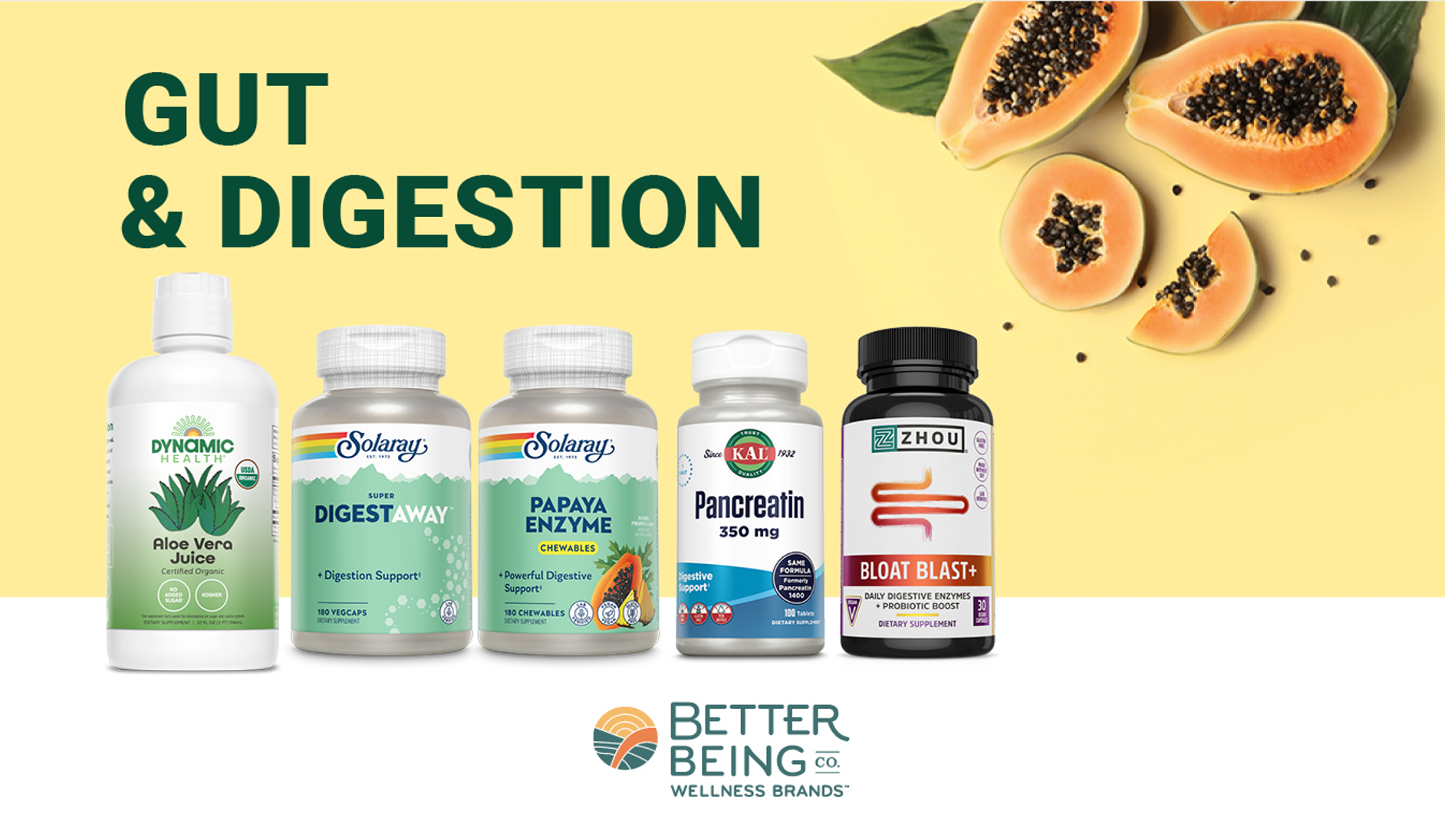 Gut & Digestion