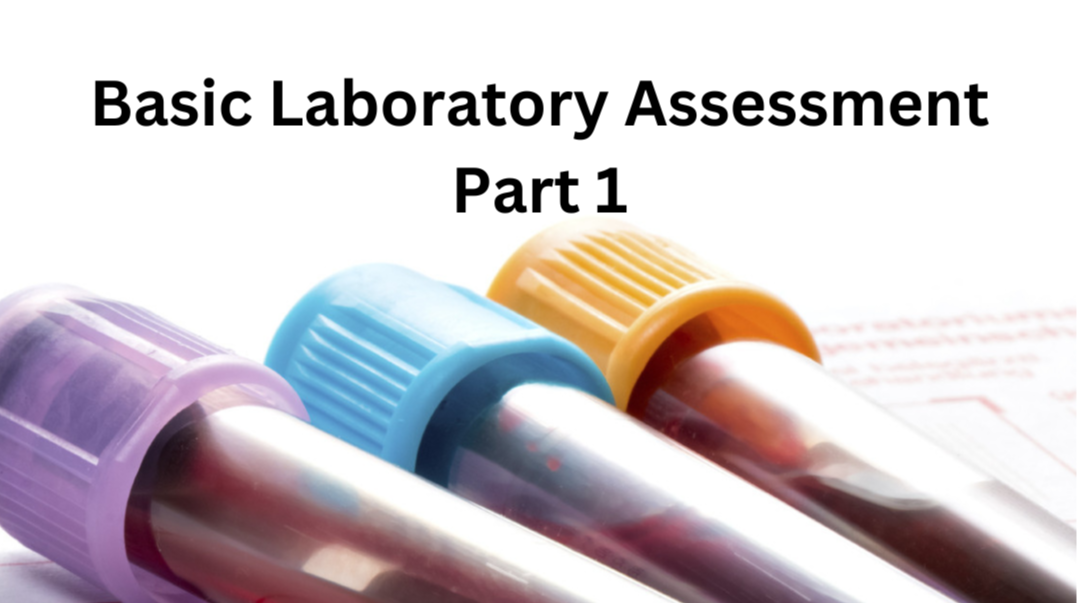 Basic Laboratory Assessment Part 1