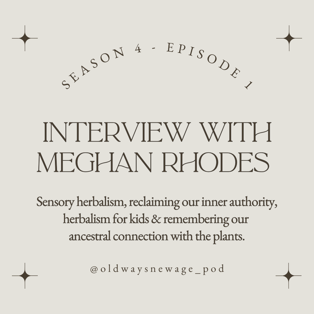 Herbalism Podcast | Interview with Meghan Rhodes on Sensory Herbalism ...