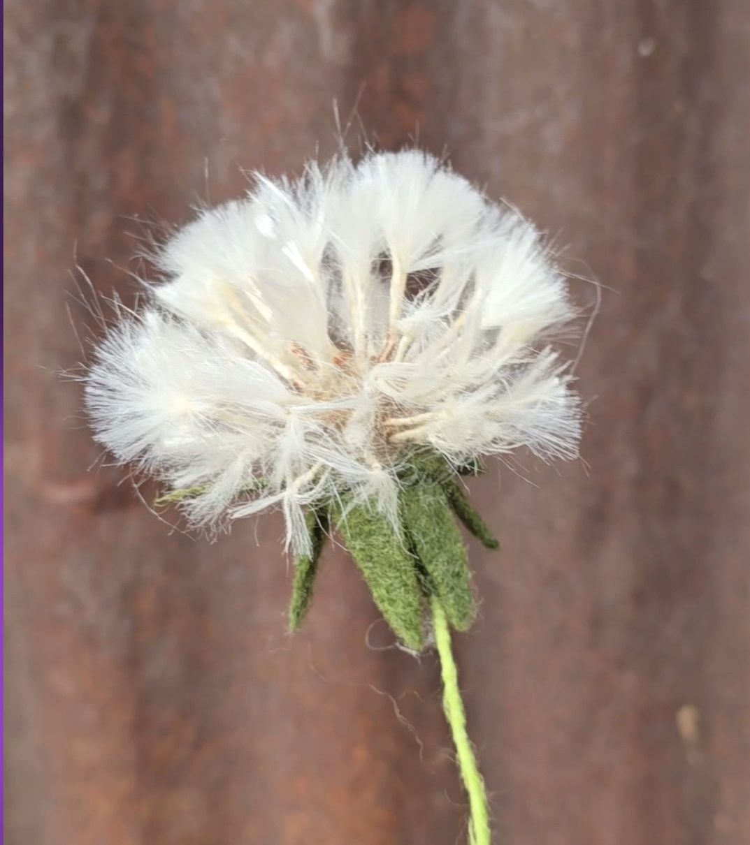 Dandelion Puff