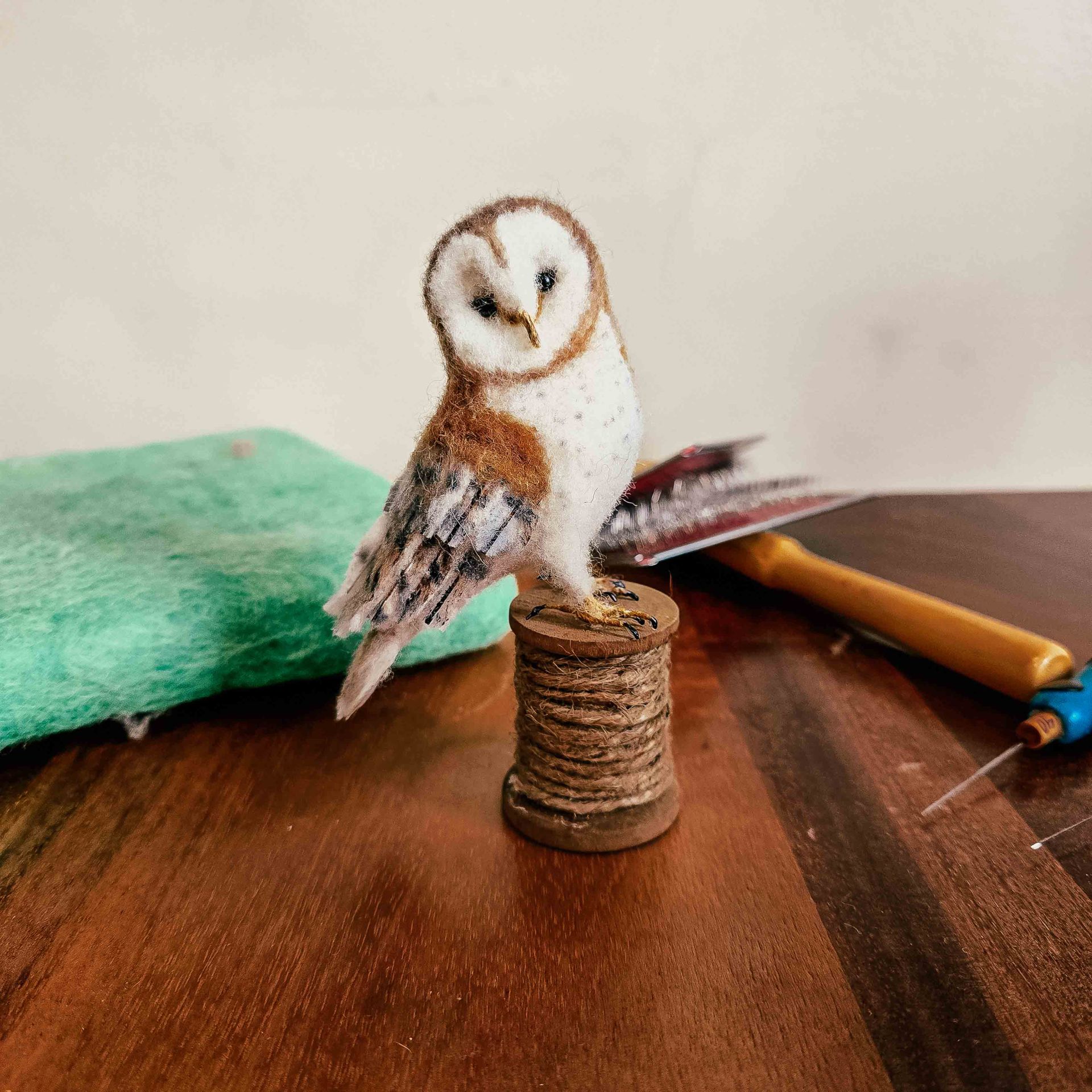 Mini Barn Owl Course