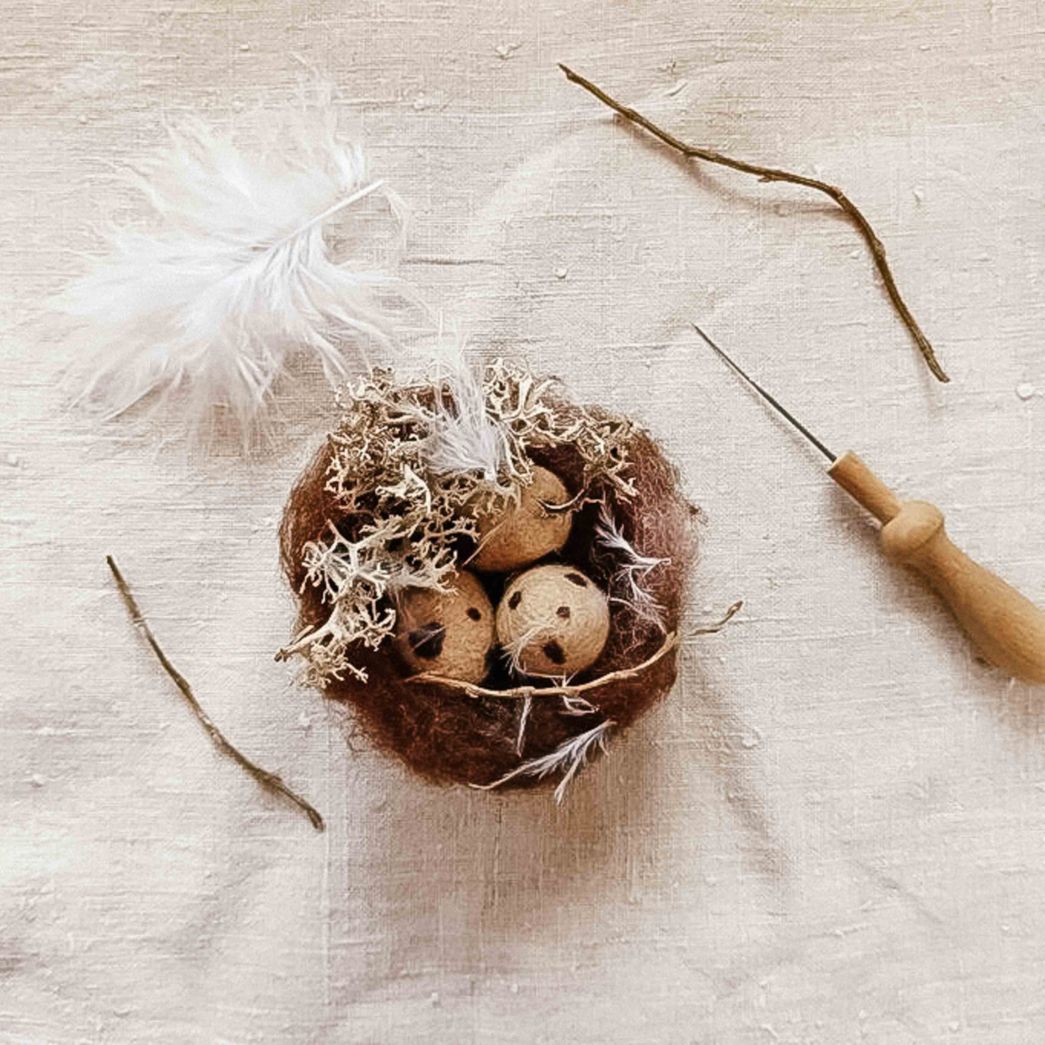 Quail Eggs & Nest Needle Felt Course
