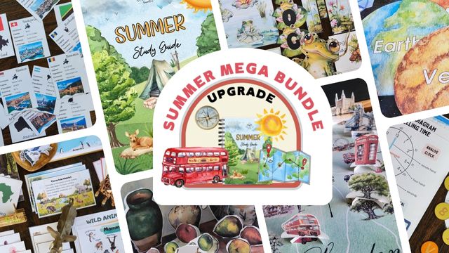 Summer Mega Bundle 2024 Upgrade