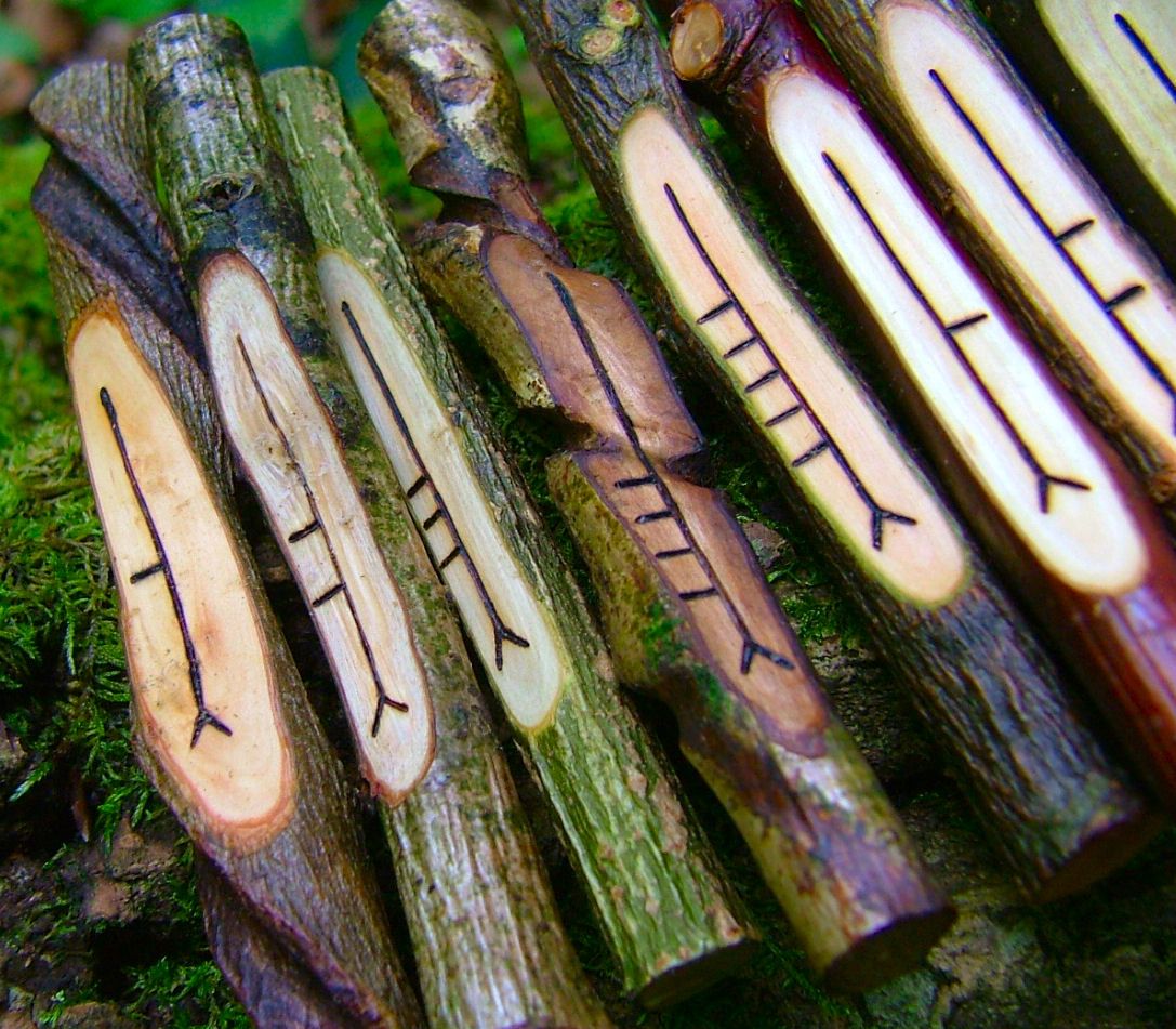 The Celtic Tree Ogham