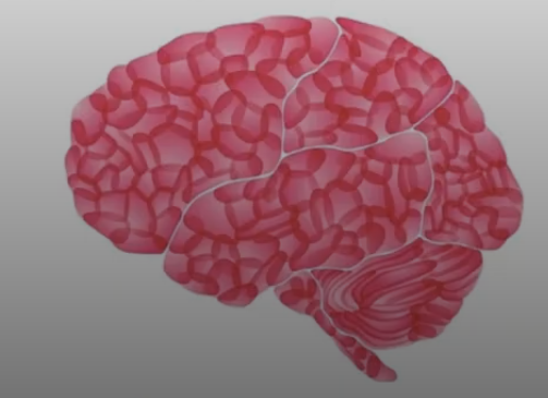 Characterizing Possible Acute Brain Injury in Women Experience Intimate ...