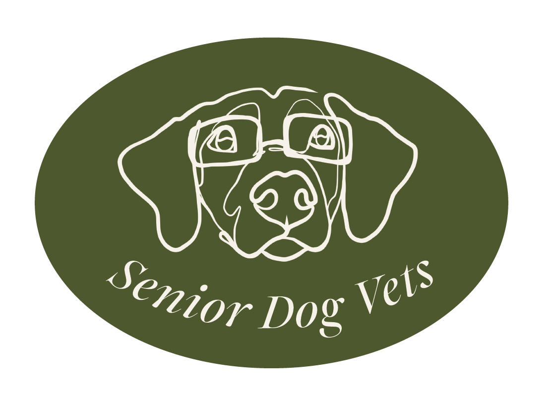 Home [seniordogvets.learnworlds.com]