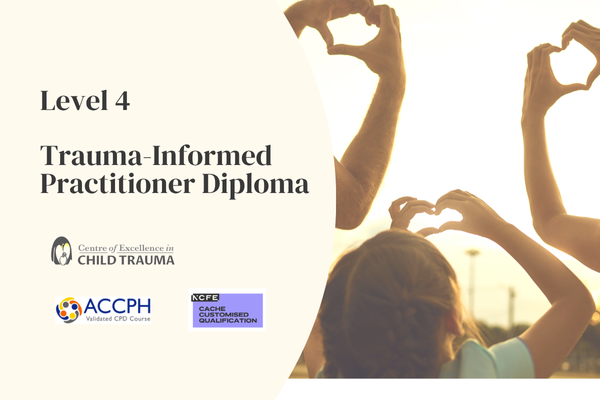Level 4 Trauma-Informed Practitioner Diploma for Social Workers ...