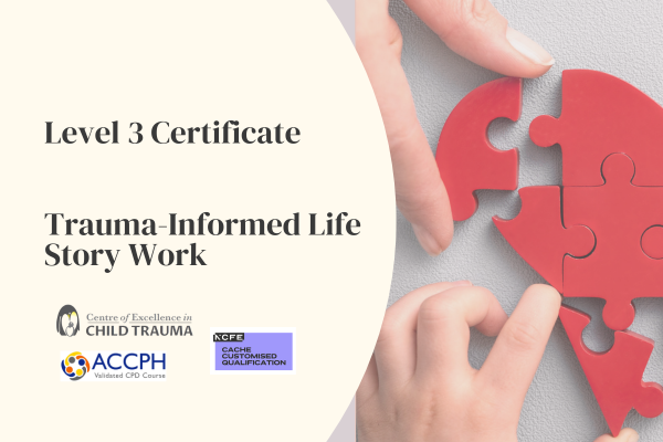 Level 3 Certificate in Trauma-Informed Life Story Work