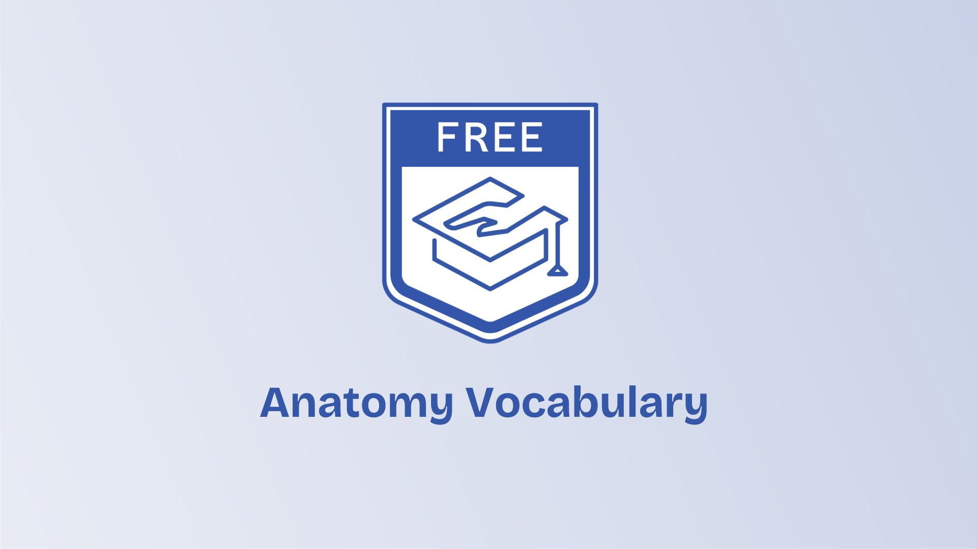 Anatomy Vocabulary