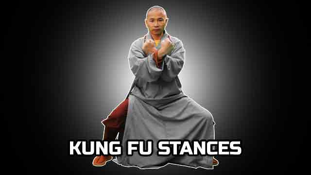 Kung Fu Stances