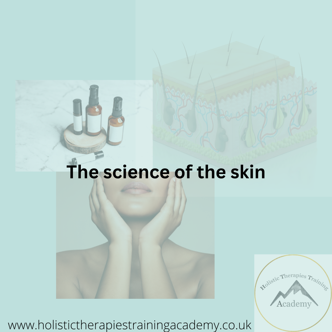 Skin science online course
