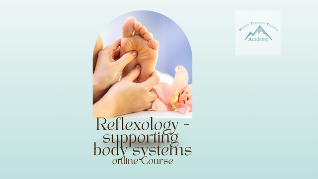 Reflexology - Supporting the body systems online course