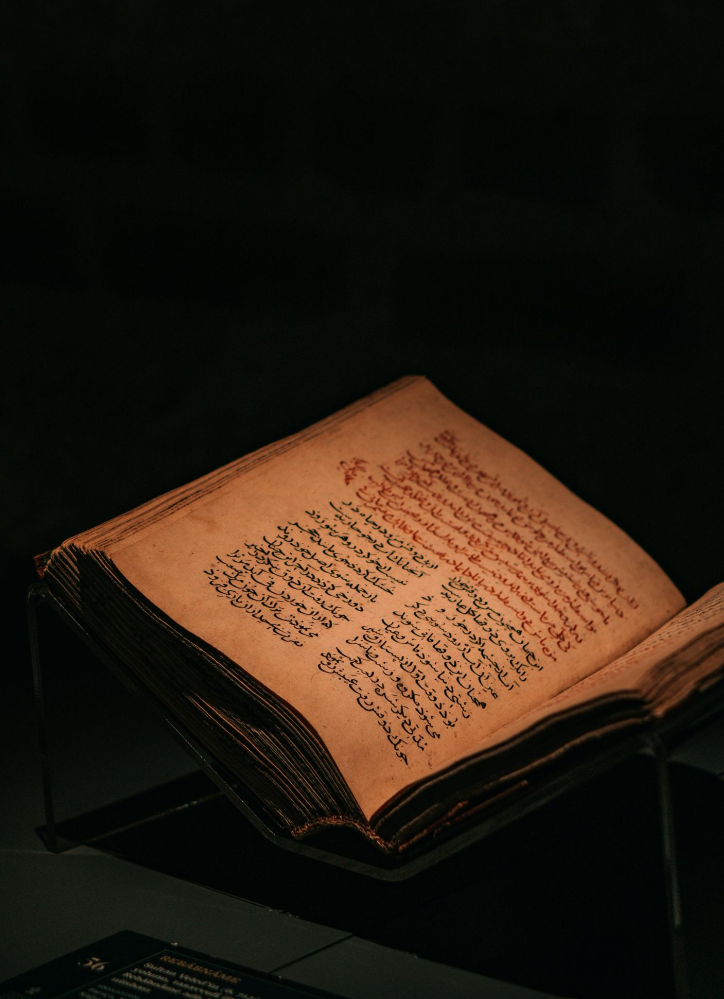 HDTH-102: The Prophetic Tradition, Then & Now