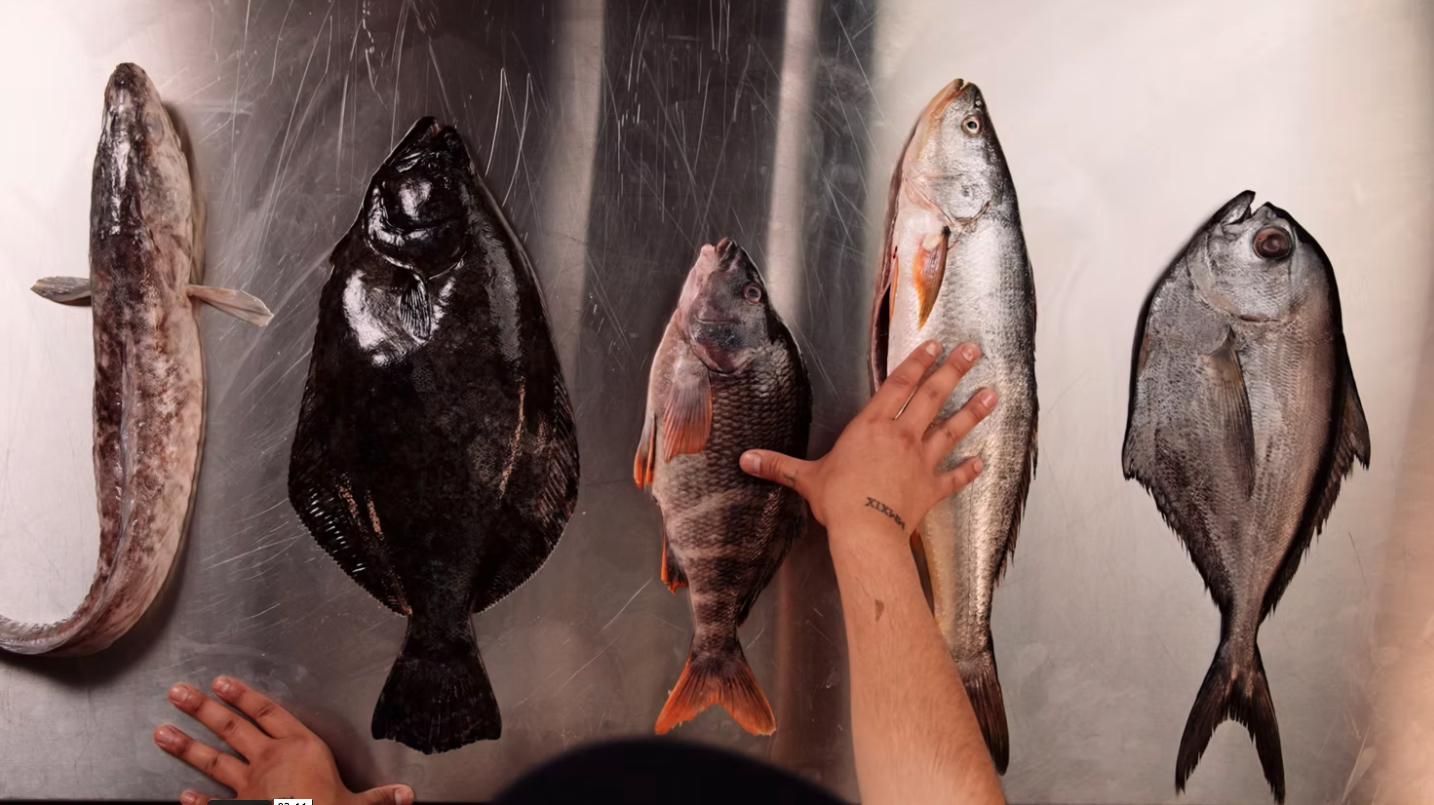 Curso Digital Pescados: Tipos, Características y Fileteado