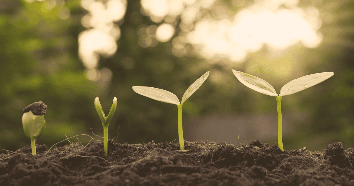 Teaching Puberty in KS2 PSHE and Puberty Education for Schools