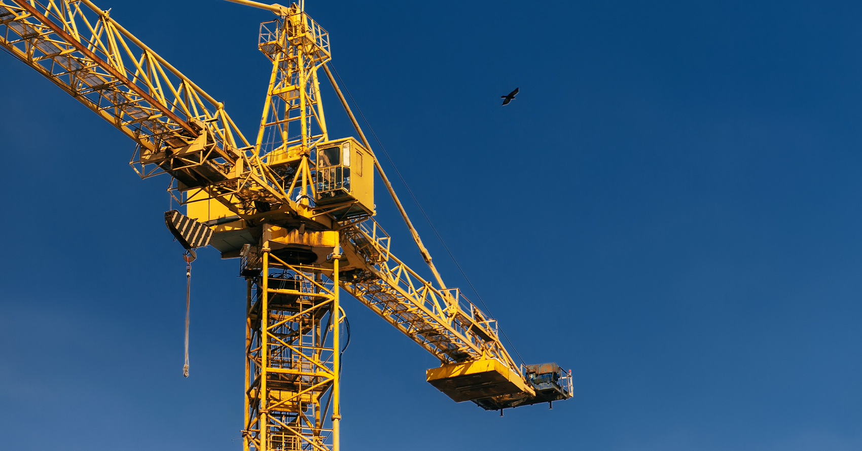 Crane Safety: Working With and Around Cranes