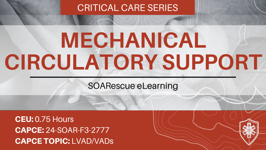 Critical Care Program: Mechanical Circulatory Support