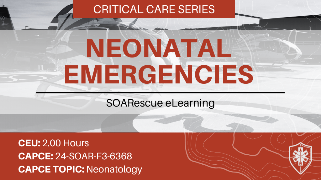 Critical Care Program: Neonatal Emergencies