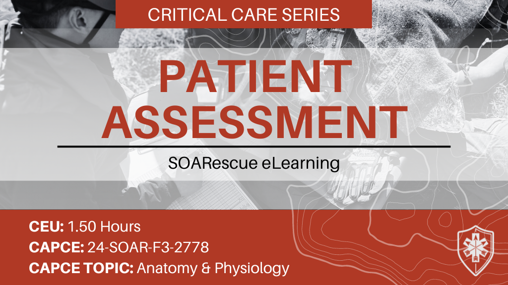 Critical Care Program: Patient Assessment