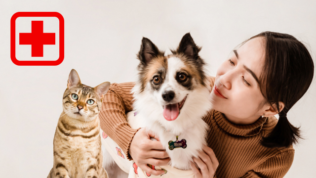 Pet First Aid and CPR