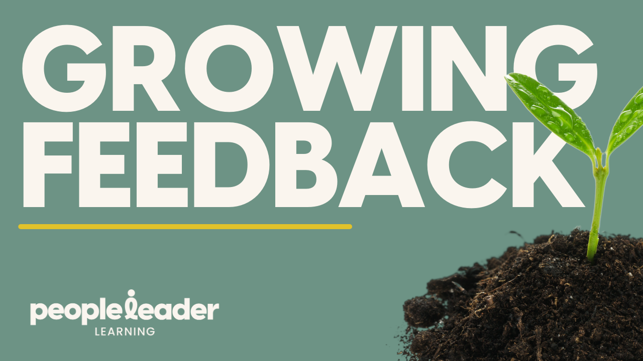 Growing Feedback
