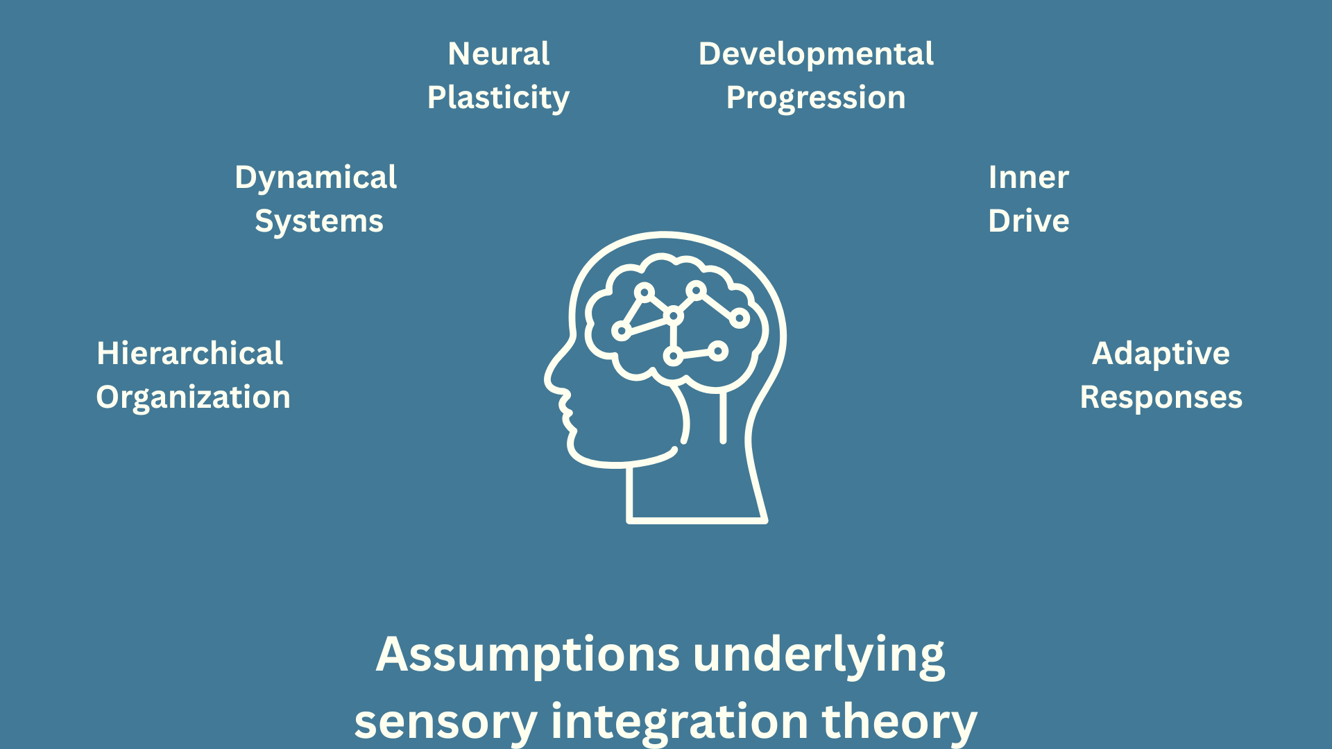 Essentials of Sensory Integration Theory Part One: Modulation and Somatosensory Processing