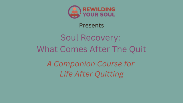 Soul Recovery - What Comes After the Quit