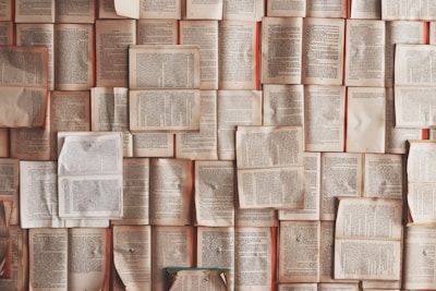 Akademik Paragraf Yapısı: Topic Sentence, Evidence, Analysis ...