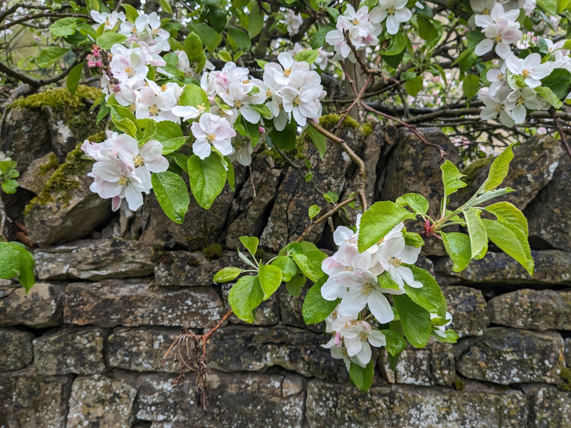 The Beauty of Being Niche