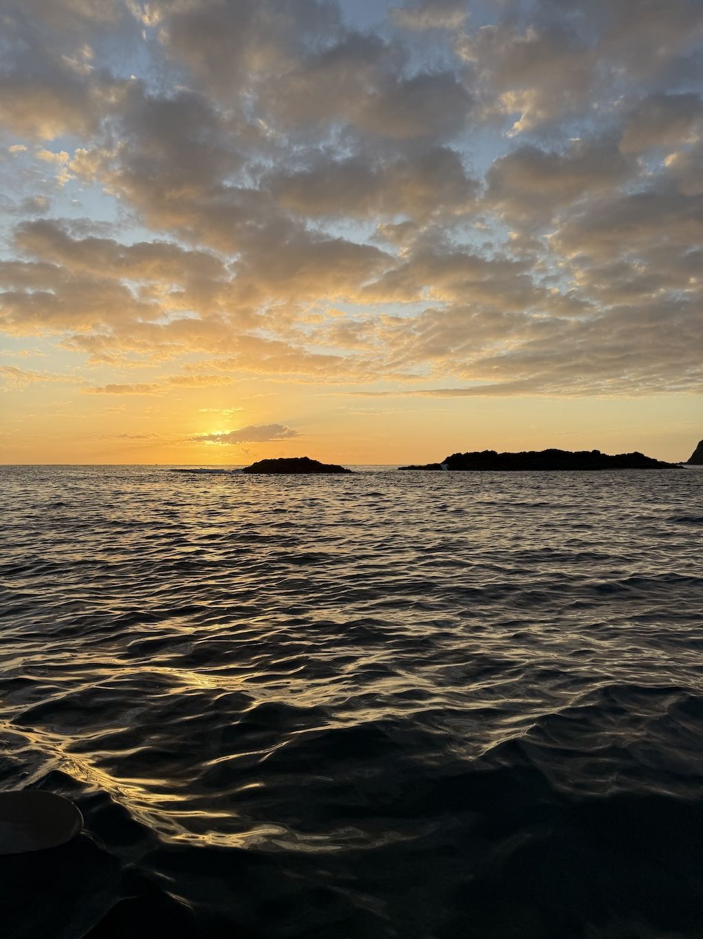 Aotearoa, NZ te Tiriti o Waitangi History