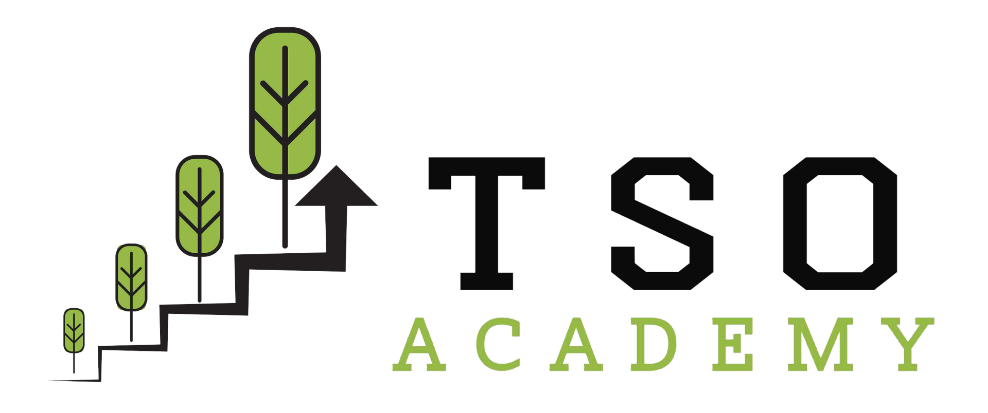 Home [academy.tso.group]