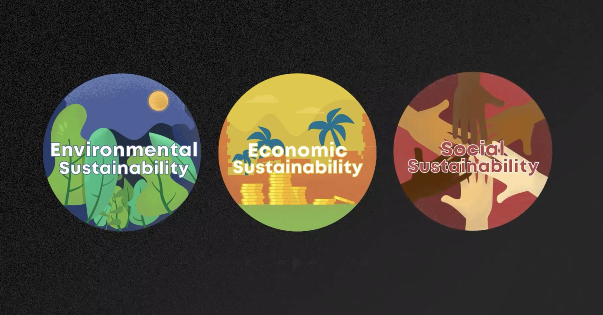 What is Sustainability? [animation]