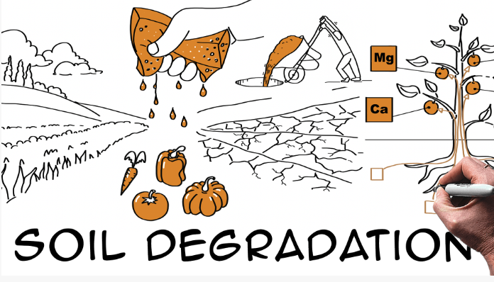 Soil Degradation