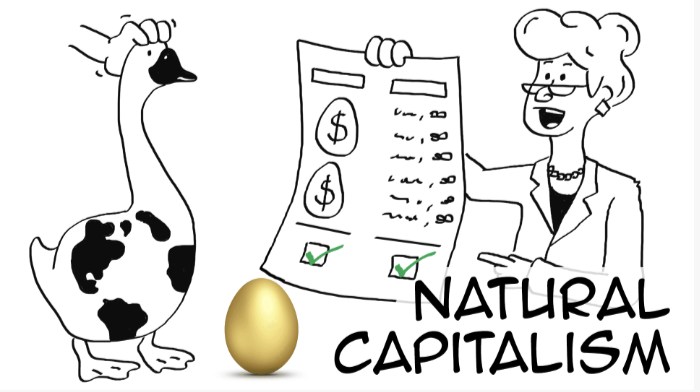 Natural Capitalism