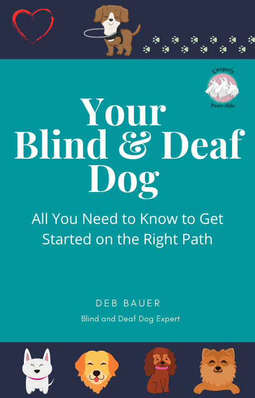 Your Blind & Deaf Dog