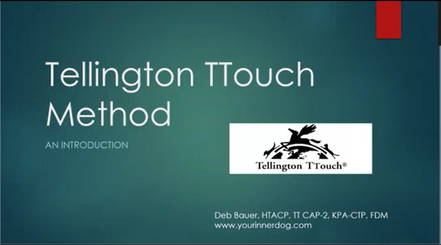 Introduction to Tellington TTouch Method