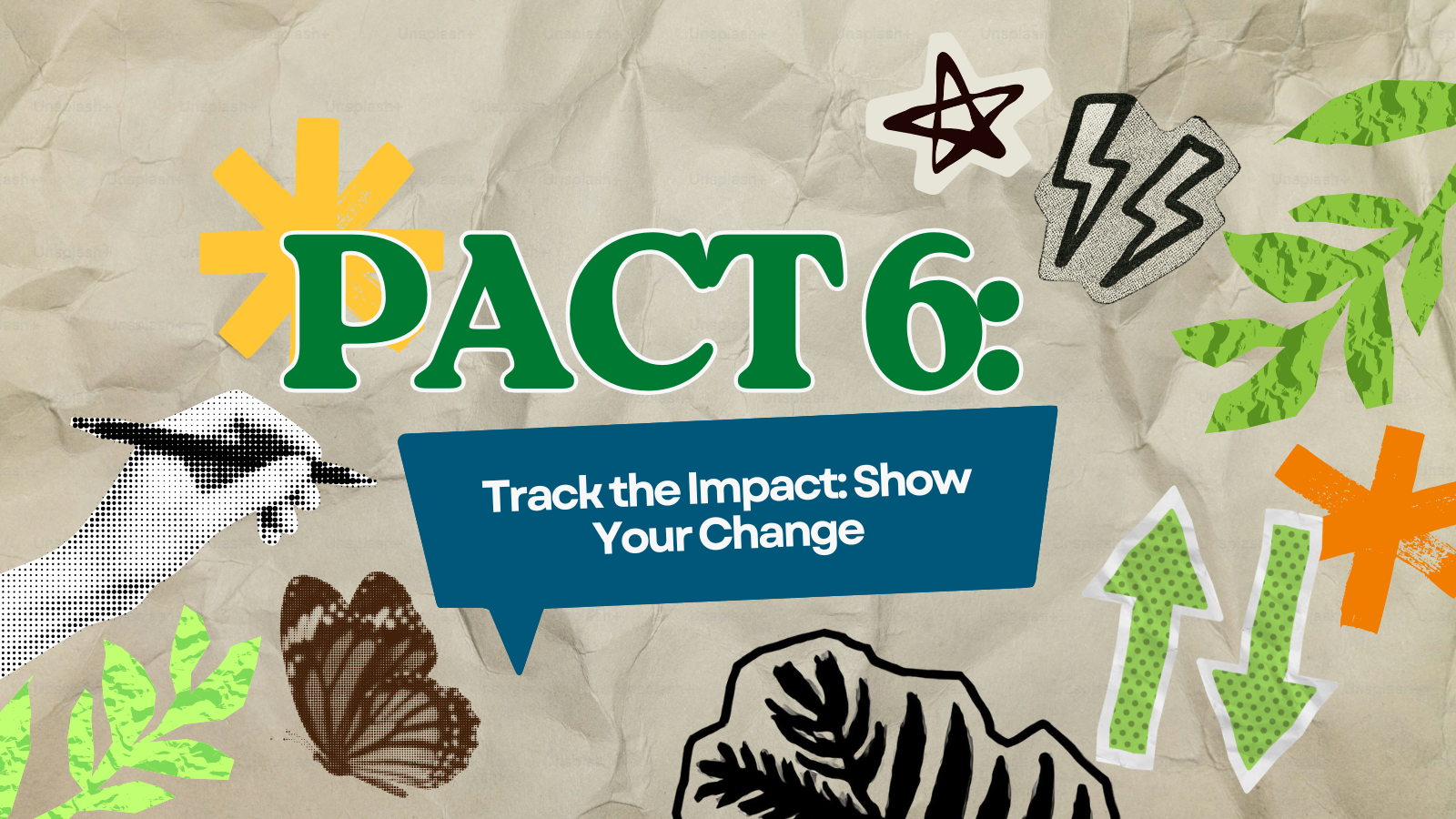 PACT 6: Track the Impact: Show Your Change