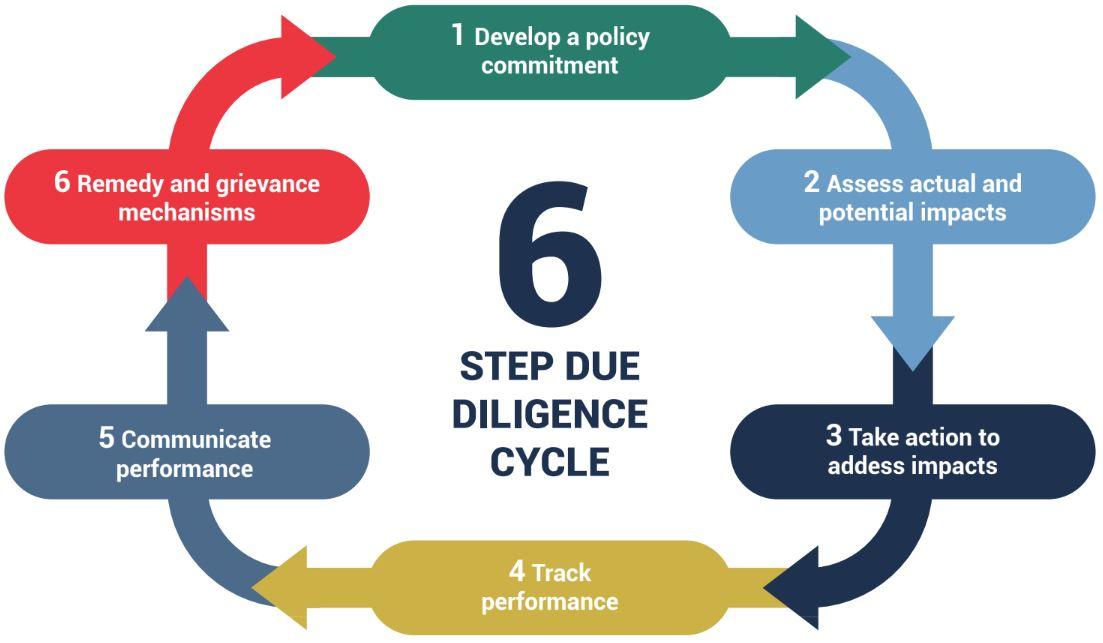 BHR Module 2 - Human Rights Due Diligence