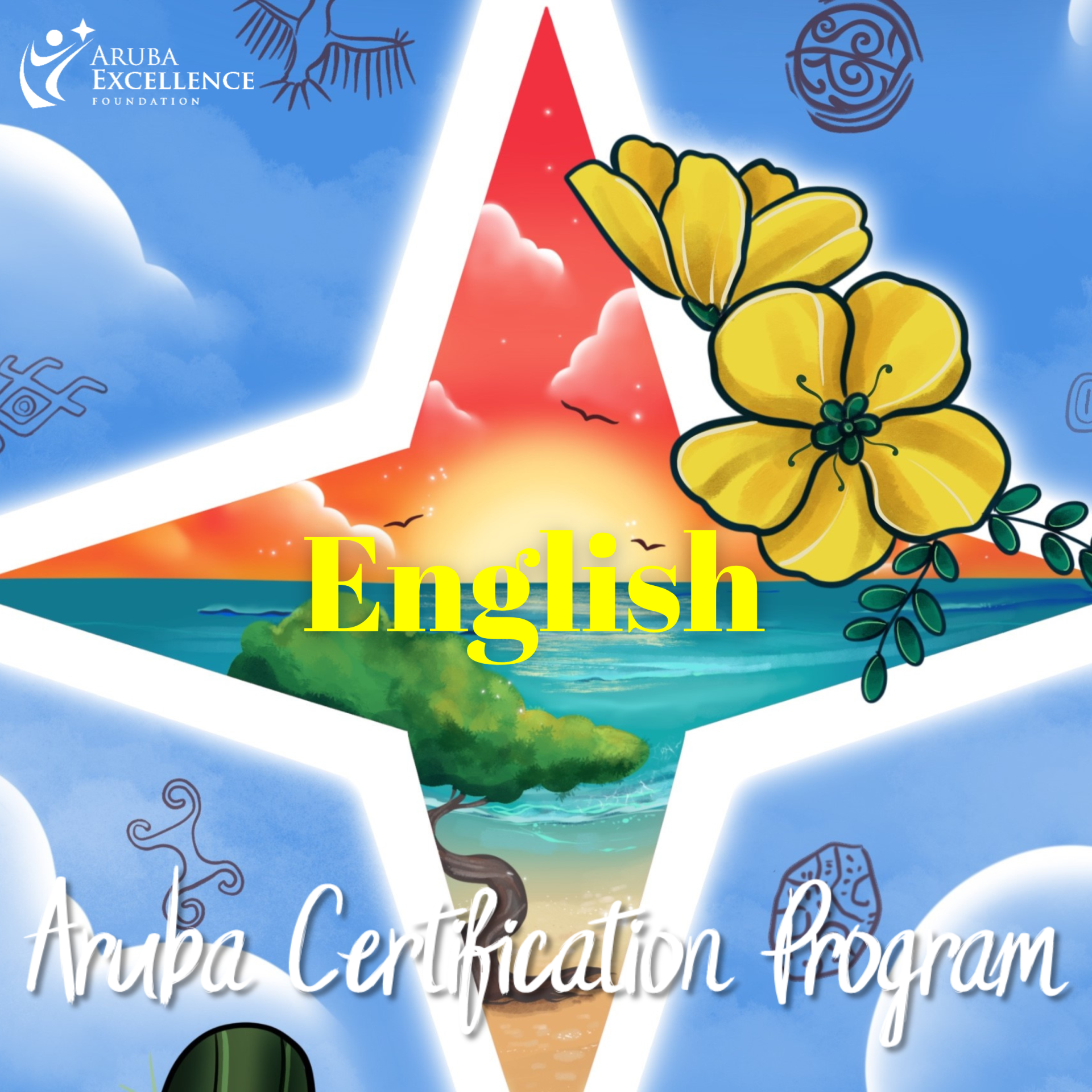 Aruba Certification Program Online English