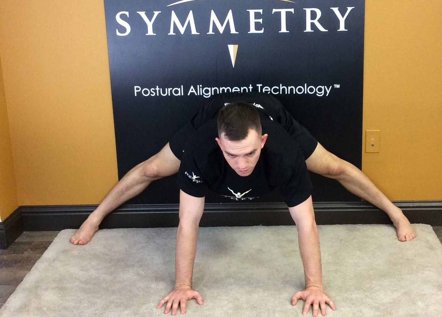 Postural Corrective Exercise Advanced Certification (This is for ...