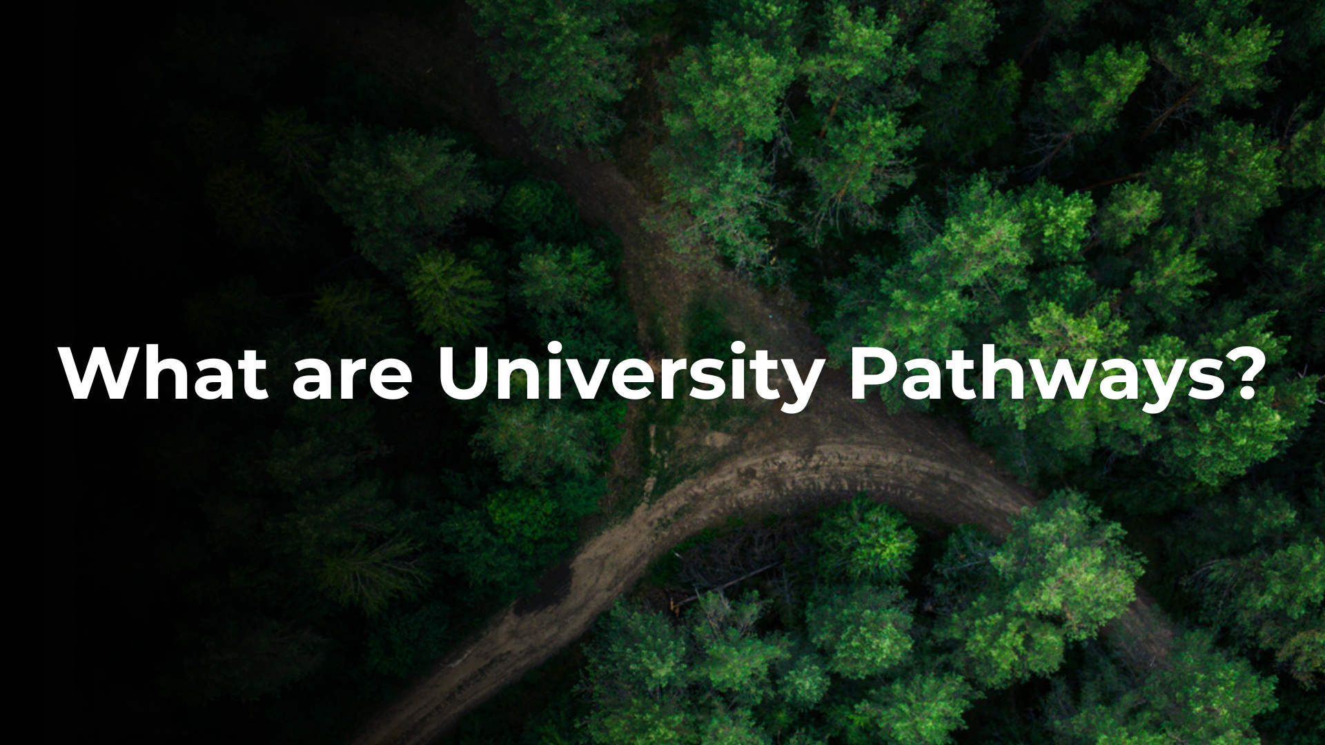 What are University Pathways?