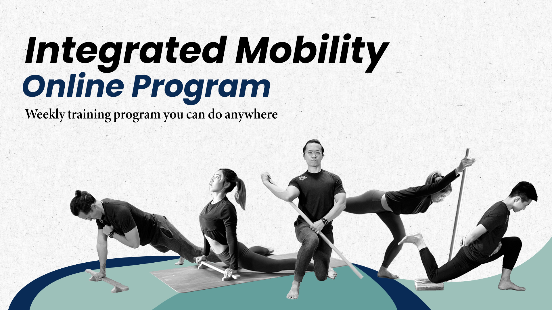 Integrated Mobility Program