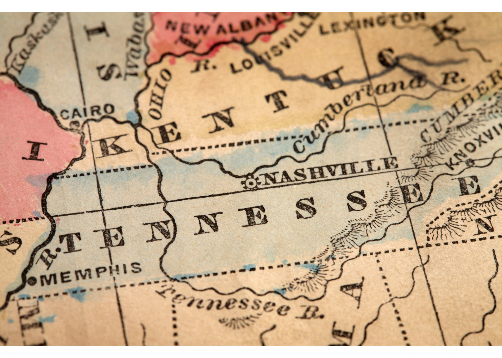 You Graduated, Now What?: Navigating the TN OT Licensure Process