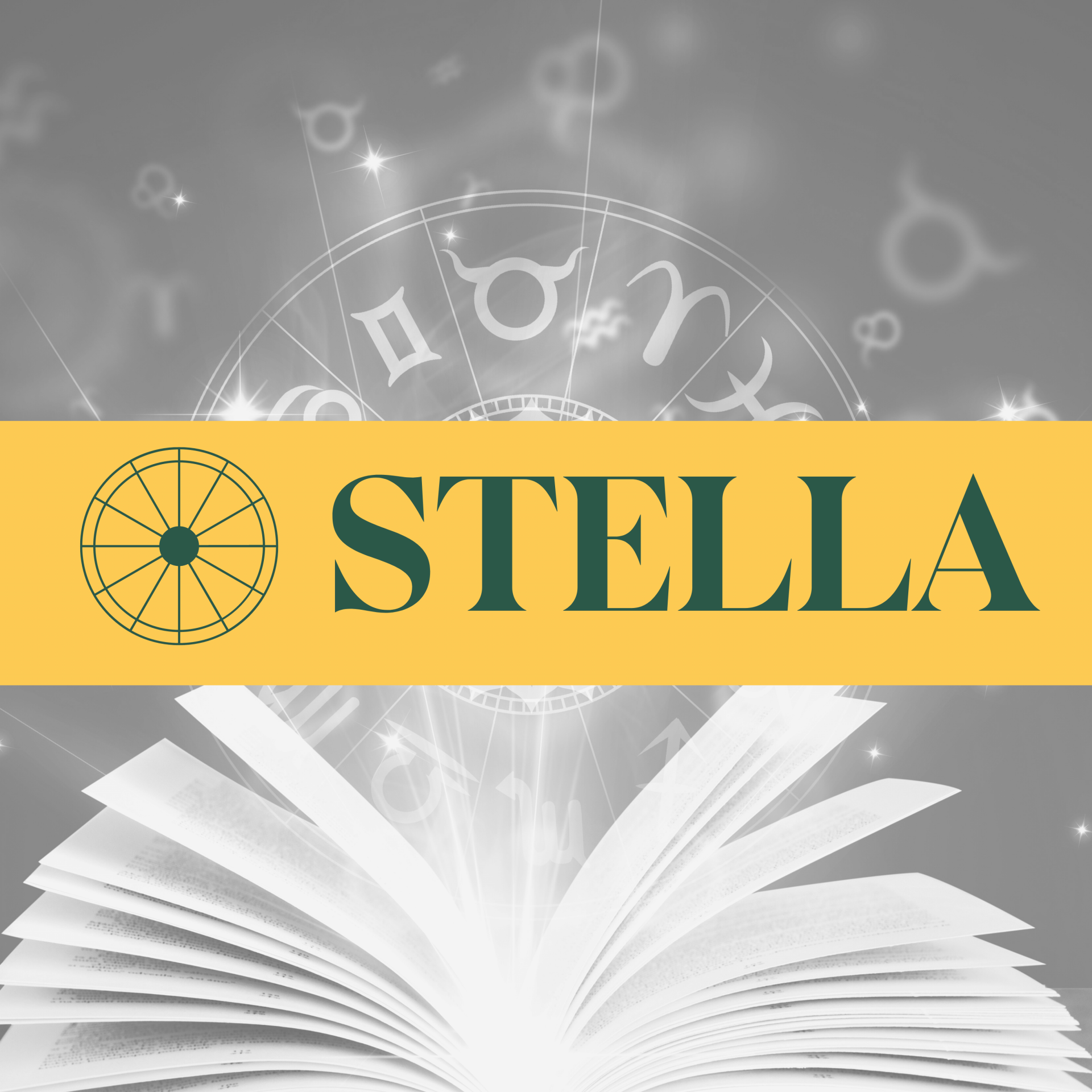 STELLA Live 2024