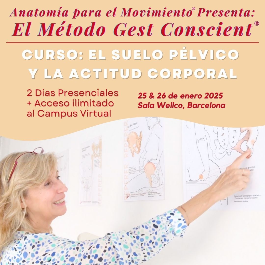 El Suelo Pélvico y la Actitud Corporal