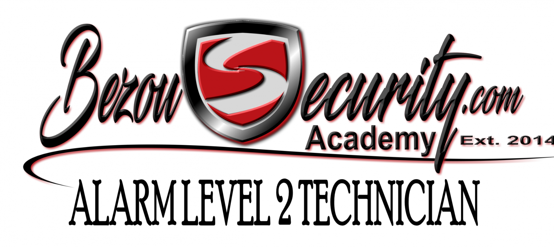 Security Level 2 (Advanced Security Technician)